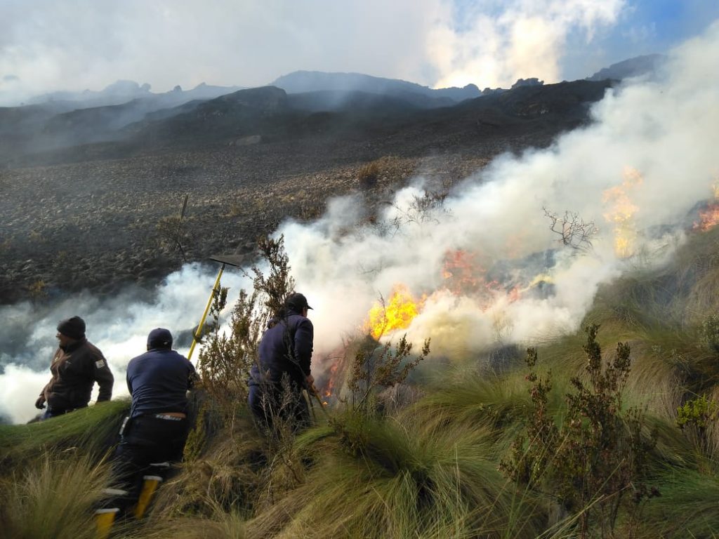 10 hectáreas afectadas por un incendio forestal en Cuenca – Secretaría ...